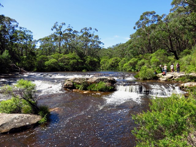 Carrington Falls Circuit - Aussie Bushwalking