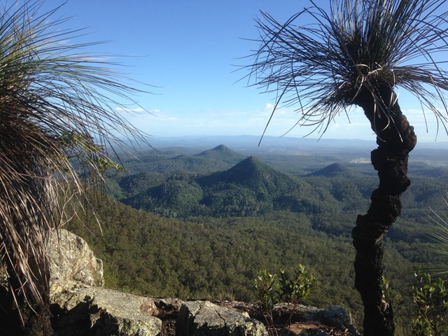 Flinders Peak - Aussie Bushwalking