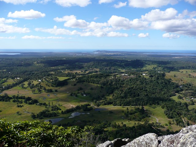 Mount Cooroy - Aussie Bushwalking